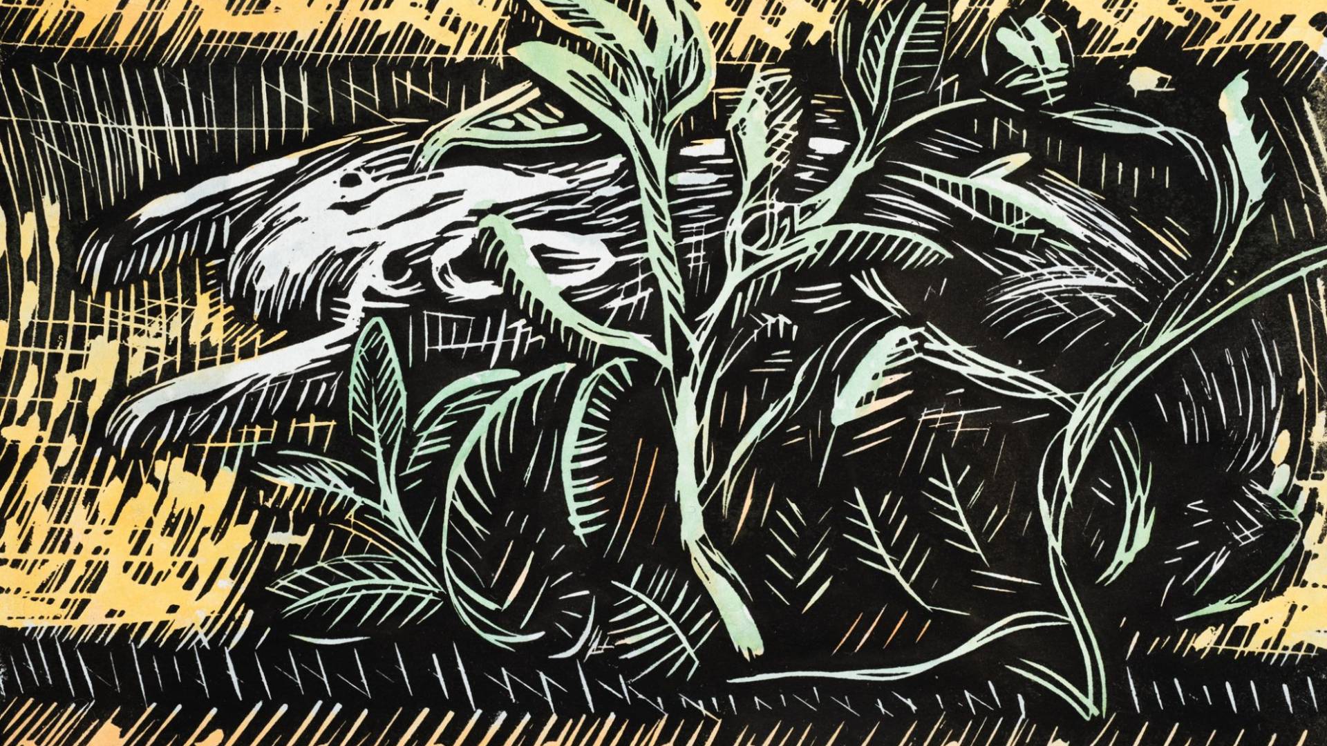 Home - Daniel Goodwin