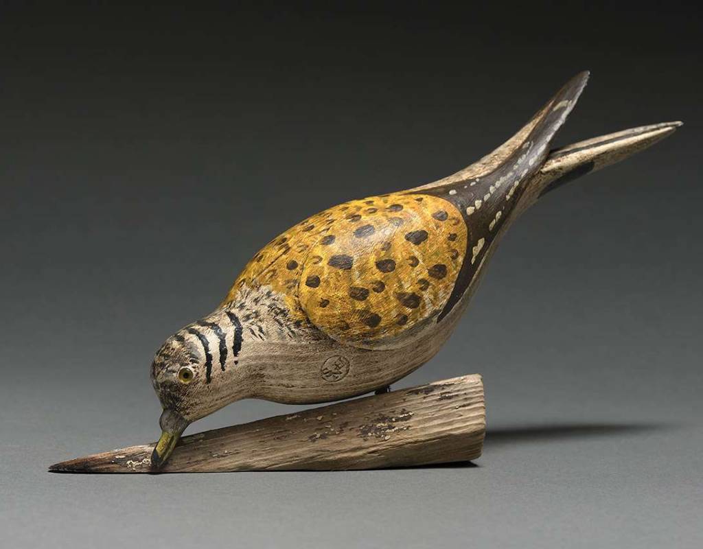 Home - Pinkfoot Gallery