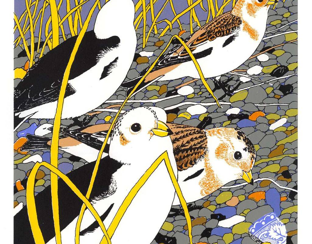 Home - Pinkfoot Gallery