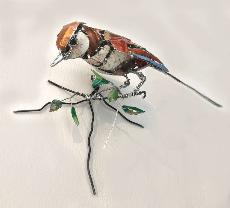 Barbara Franc - Pinkfoot Gallery