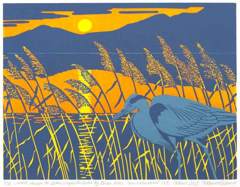 Robert Gillmor - Pinkfoot Gallery
