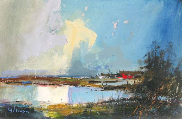 Peter Wileman - Pinkfoot Gallery