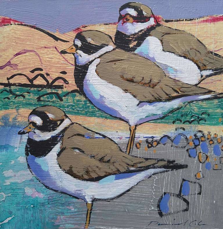 Daniel Cole Birds - Pinkfoot Gallery