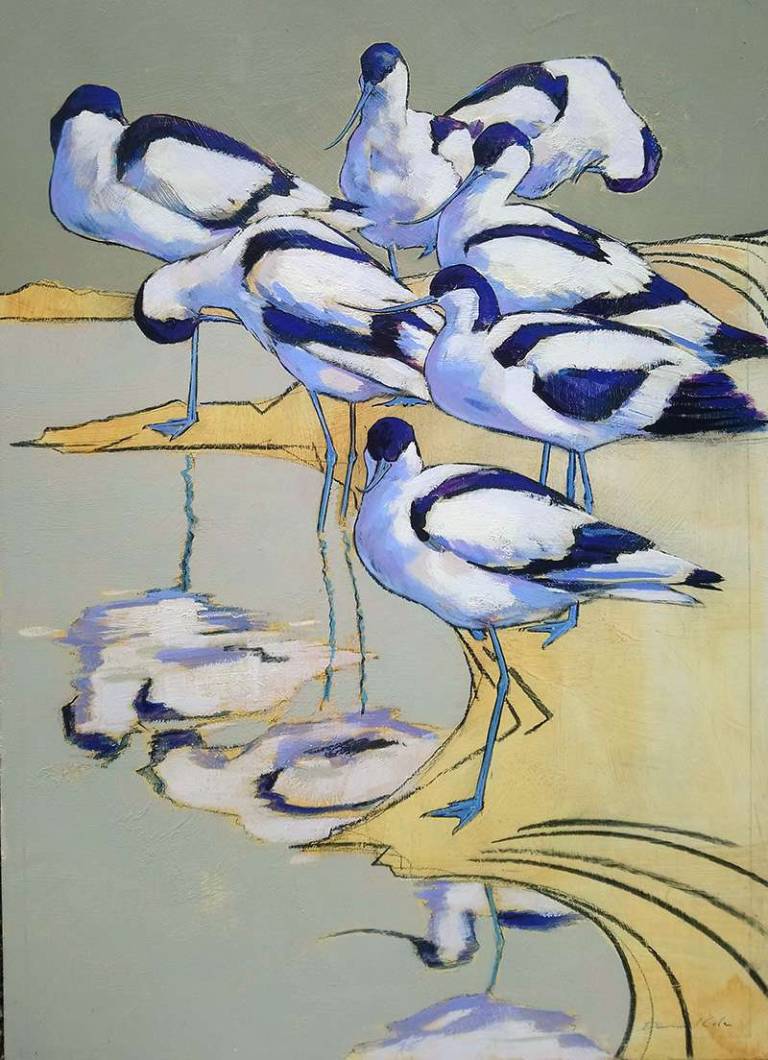 Daniel Cole Bird Prints - Pinkfoot Gallery