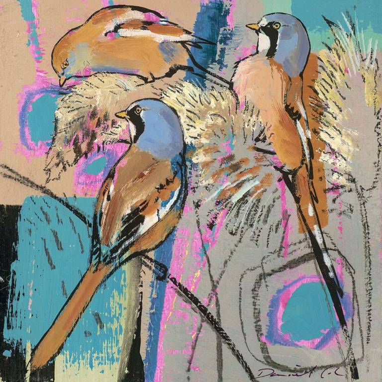 Daniel Cole Bird Prints - Pinkfoot Gallery