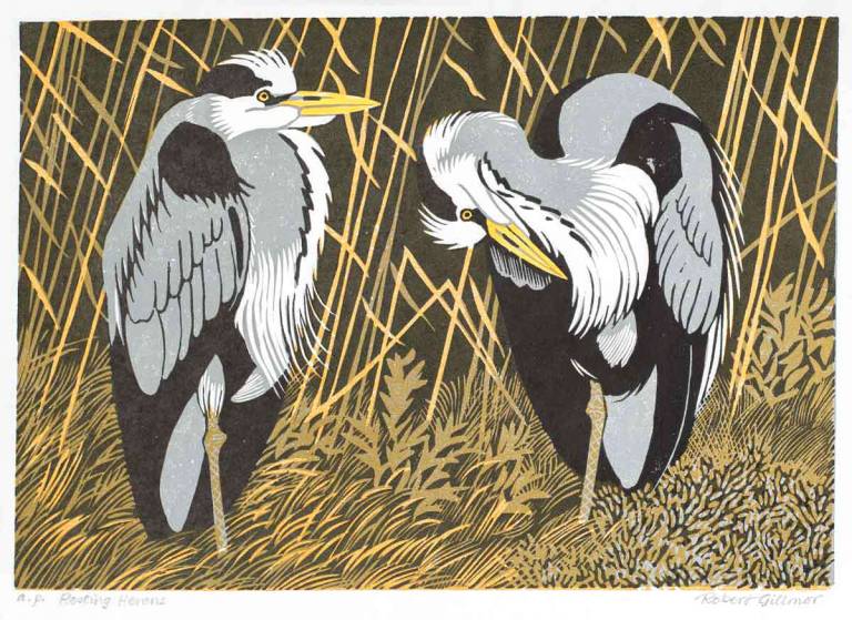 Robert Gillmor - Pinkfoot Gallery